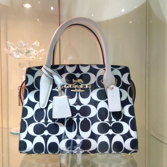 Coach | Bags | New Goldblack Multi Andrea Carryall In Signature Canvas ...